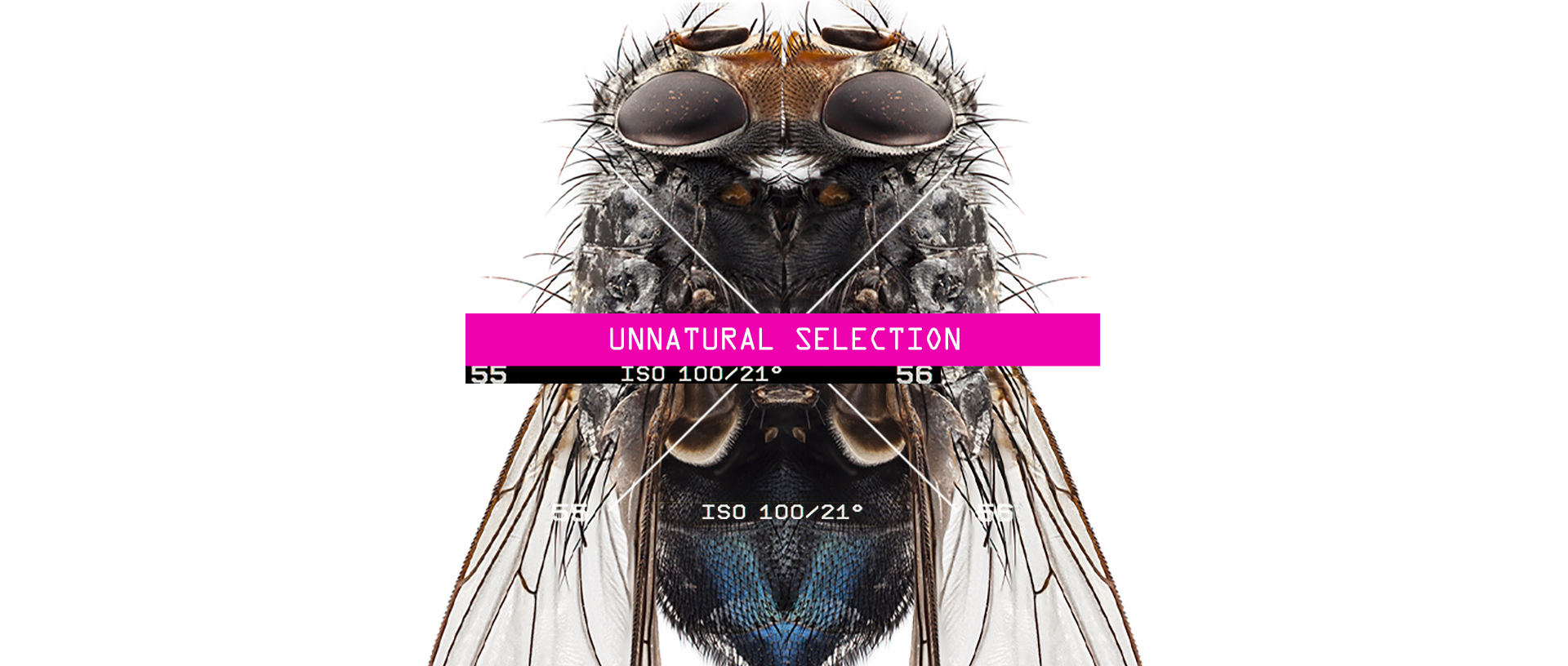 Netflix - Unnatural Selection - Title Design