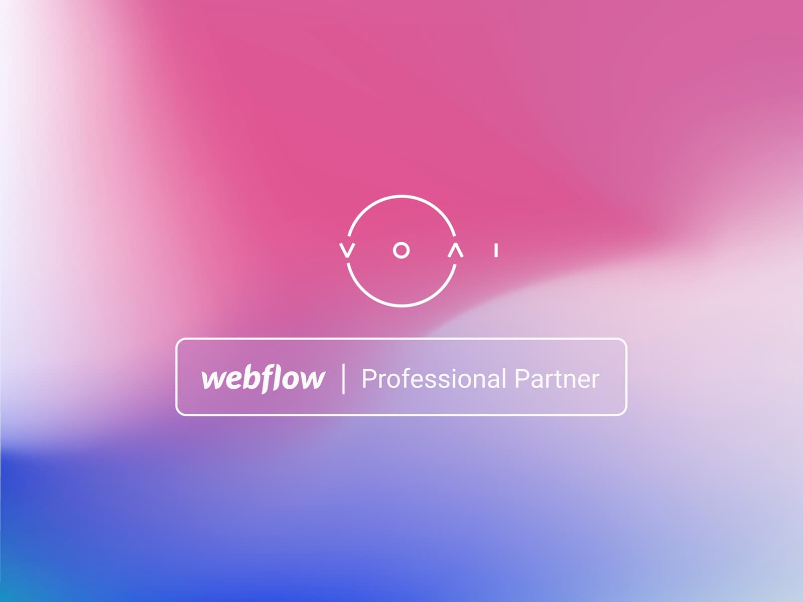 Vovi | Digital Marketing & Design Agency | We help companies that do ...