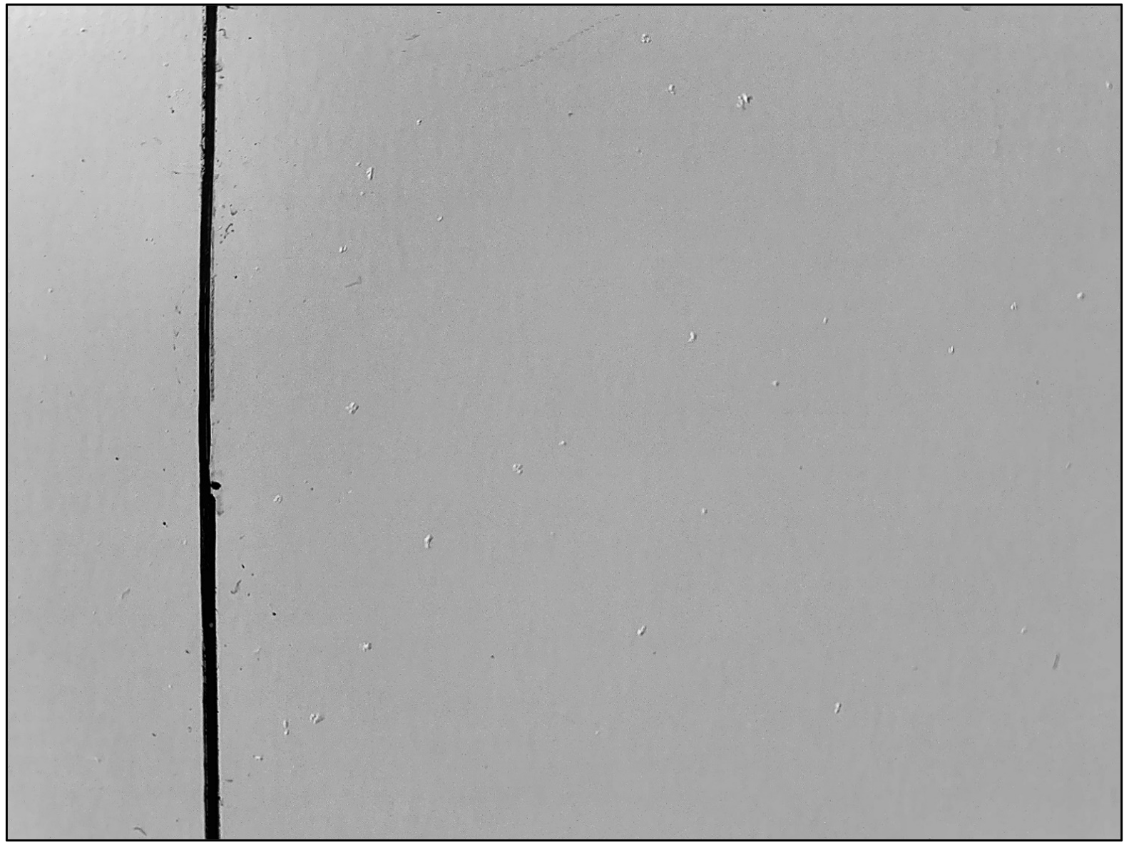 Disinfection & Sanitizing Solutions – Cleanrooms