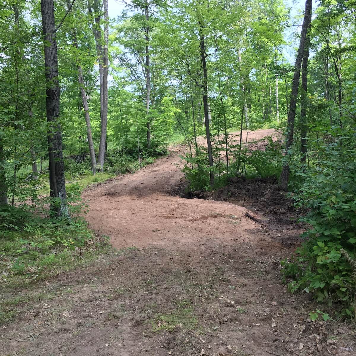 Blue Hills Trail | Dozing improves the Blue Hills Trail