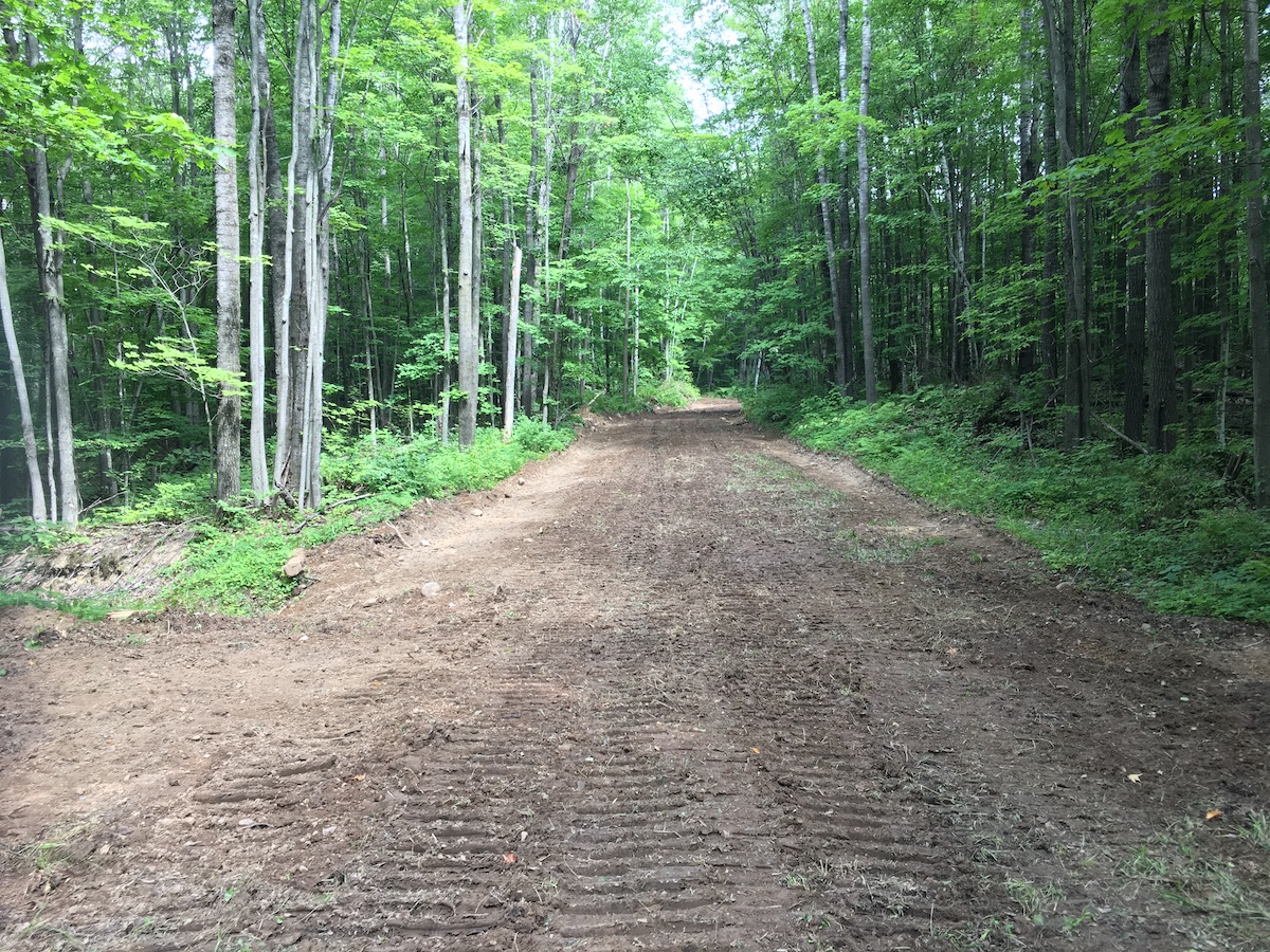 Blue Hills Trail | Dozing of the New Trail on the West Side