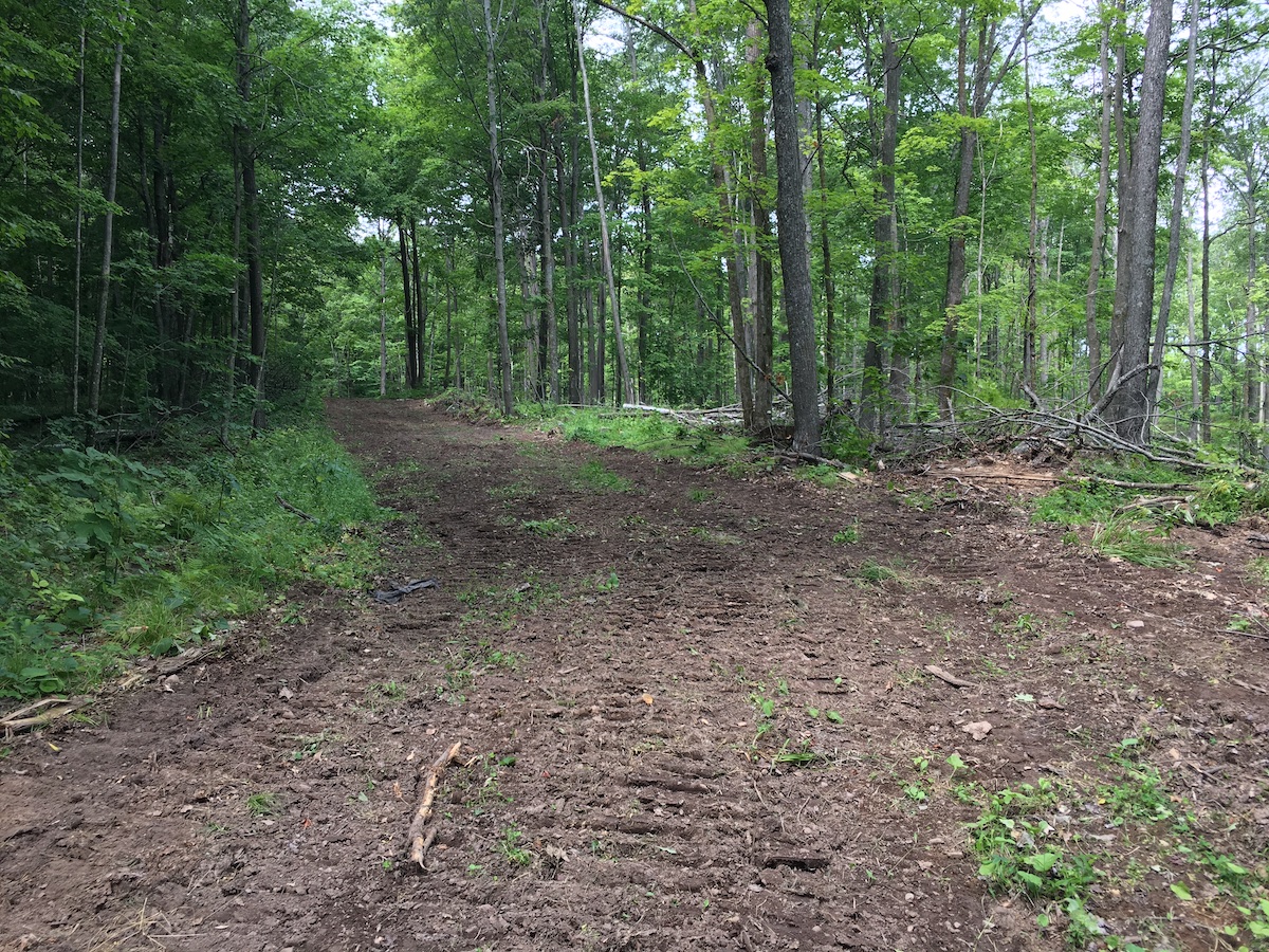 Blue Hills Trail | Dozing of the New Trail on the West Side