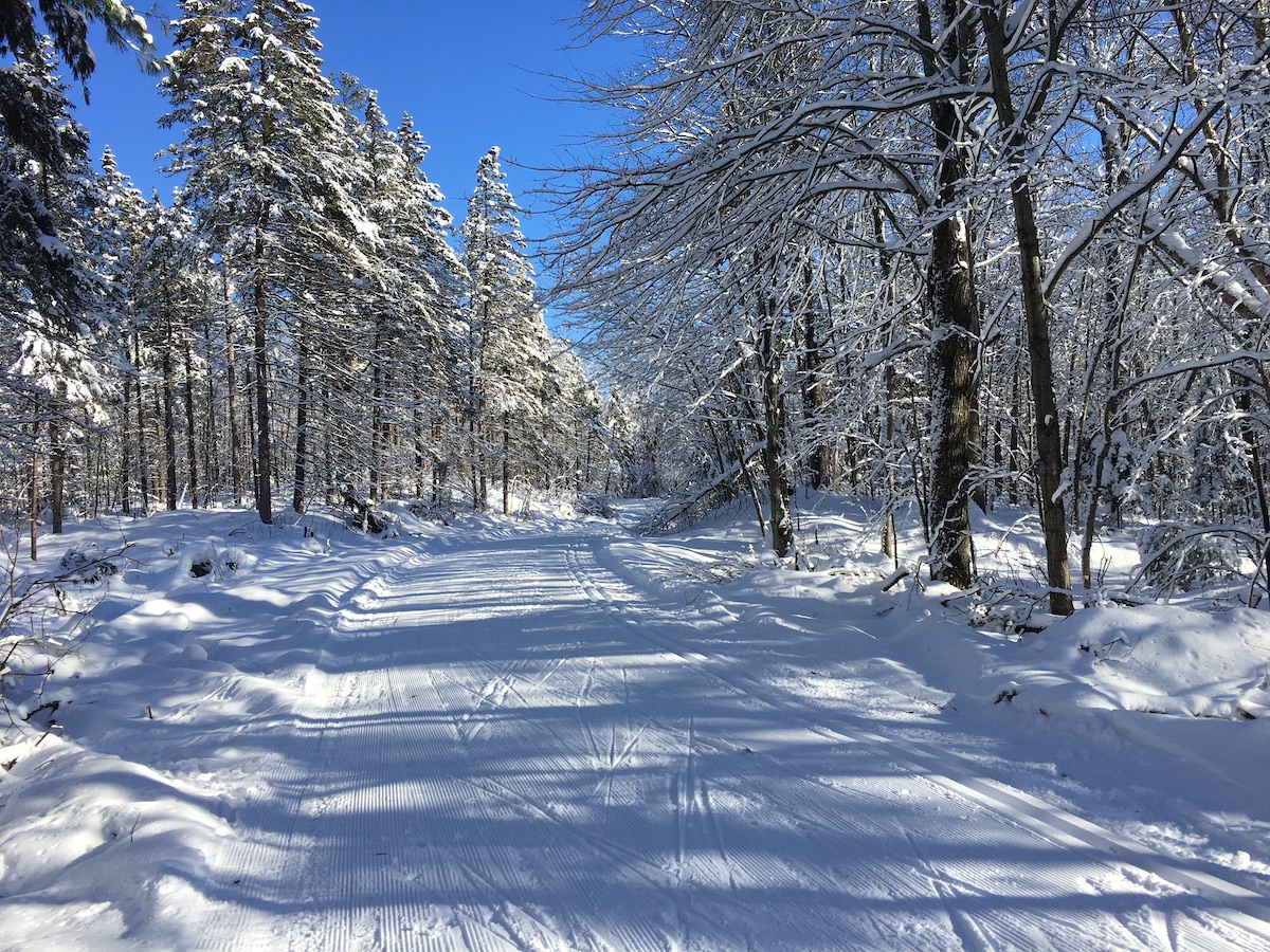 Blue Hills Trail | Blue Hills Trail Suffers Destructive Ice Damage ...