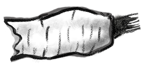 About | Compostable LA