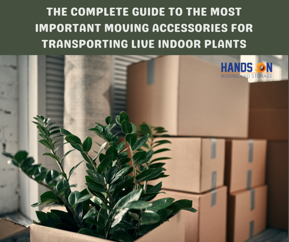 THE COMPLETE GUIDE TO THE MOST IMPORTANT MOVING ACCESSORIES FOR ...