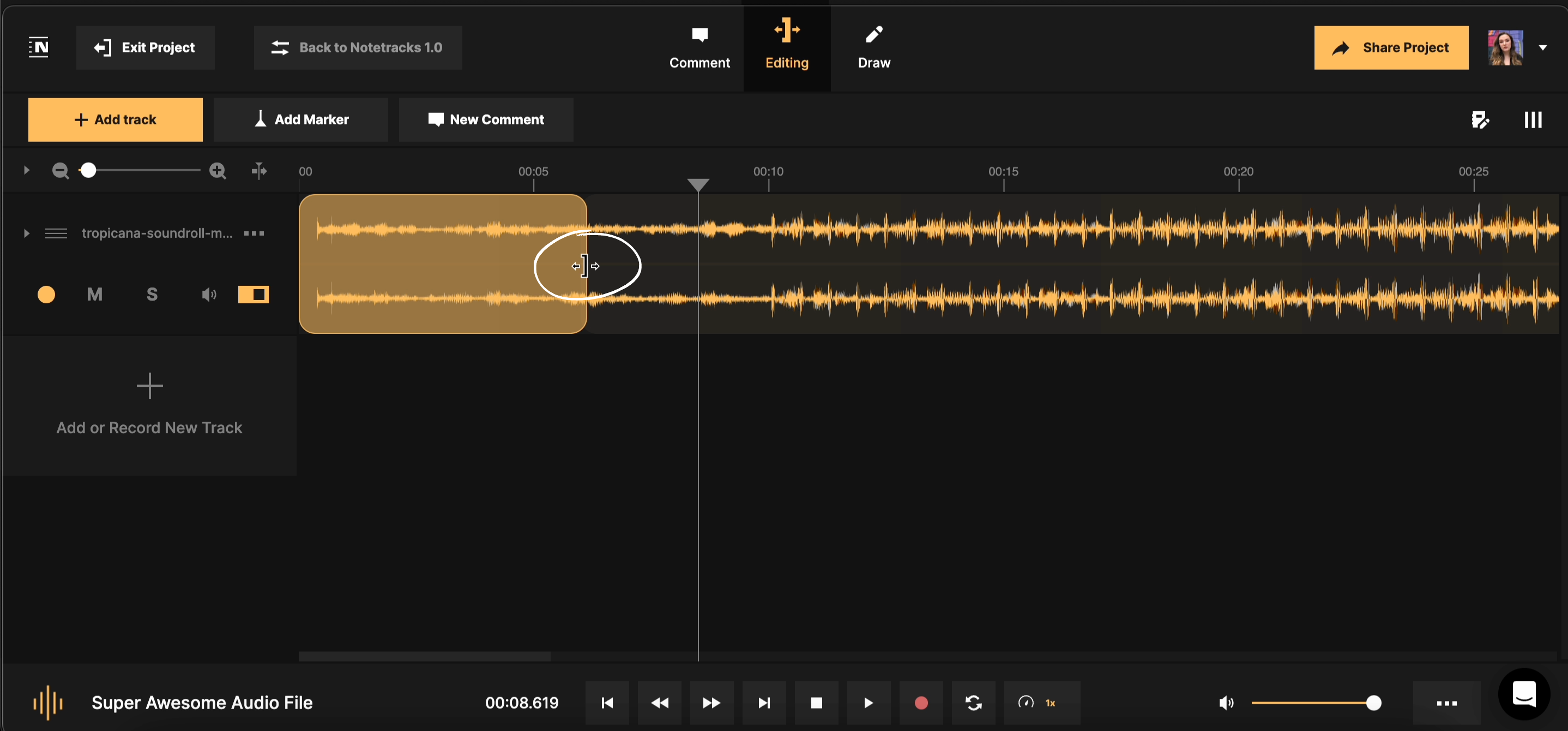 How to edit an audio file | Notetracks - Audio Review and Collaboration