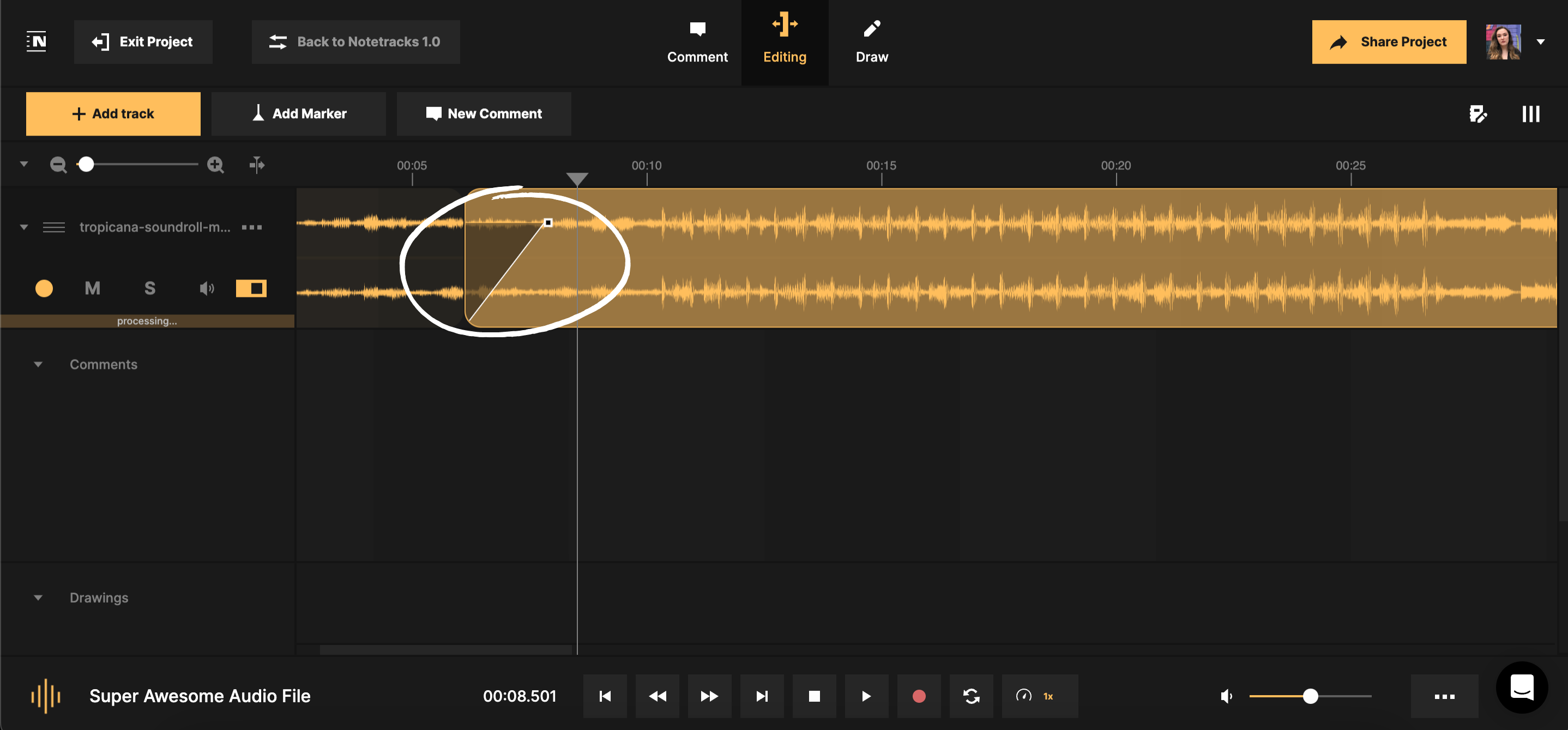 How to edit an audio file | Notetracks - Audio Review and Collaboration