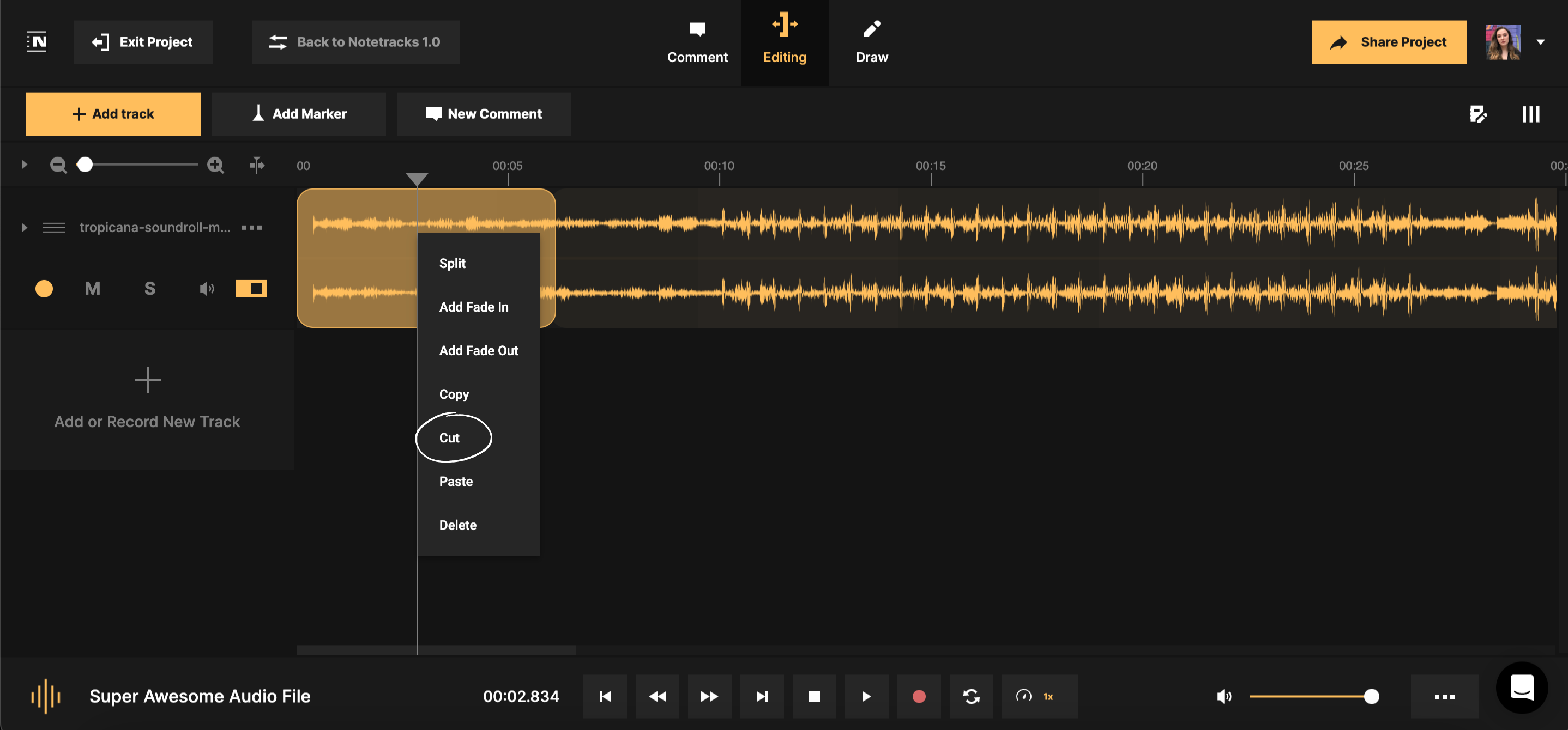 How to edit an audio file | Notetracks - Audio Review and Collaboration