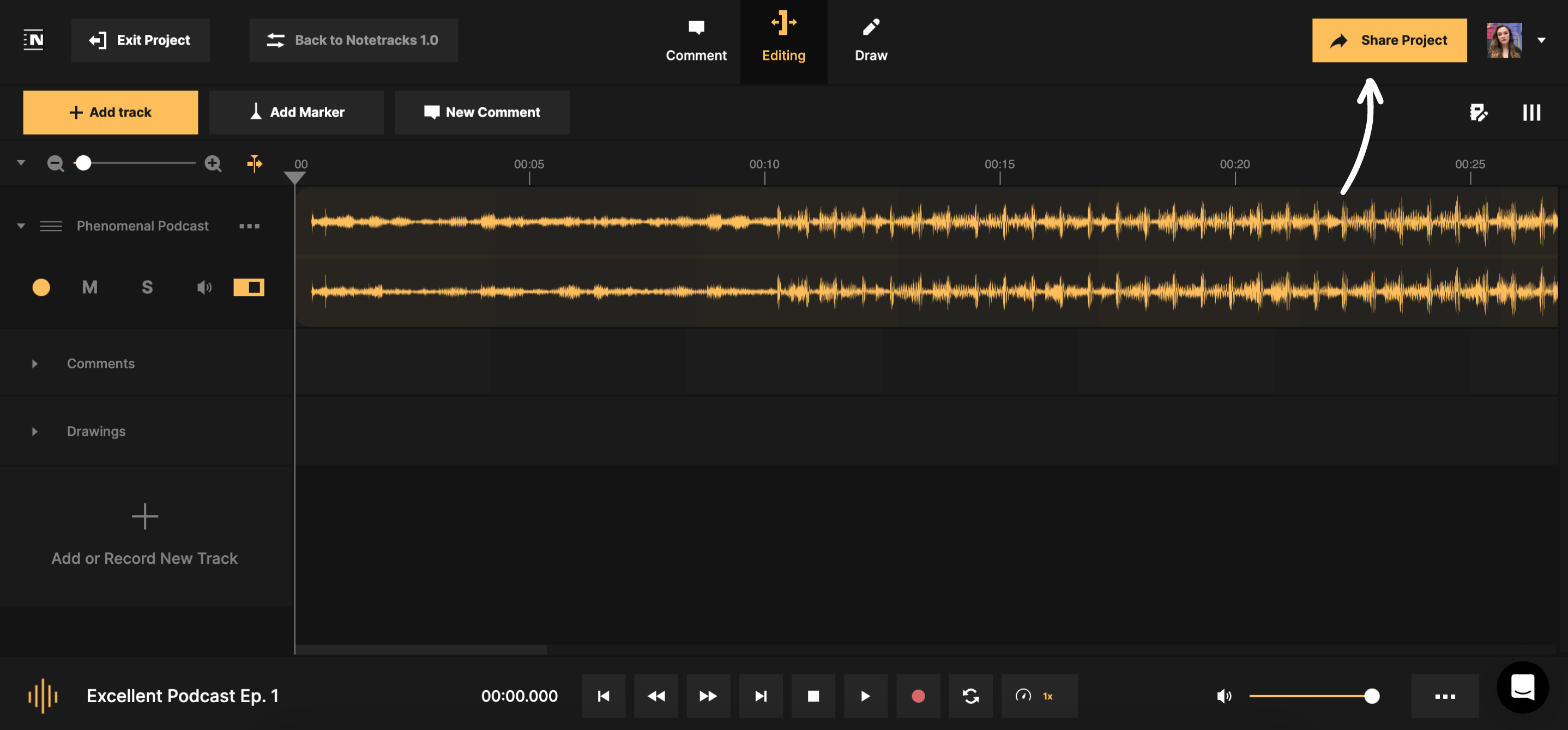 How to Use an Audio Collaboration Tool | Notetracks - Audio Review and ...