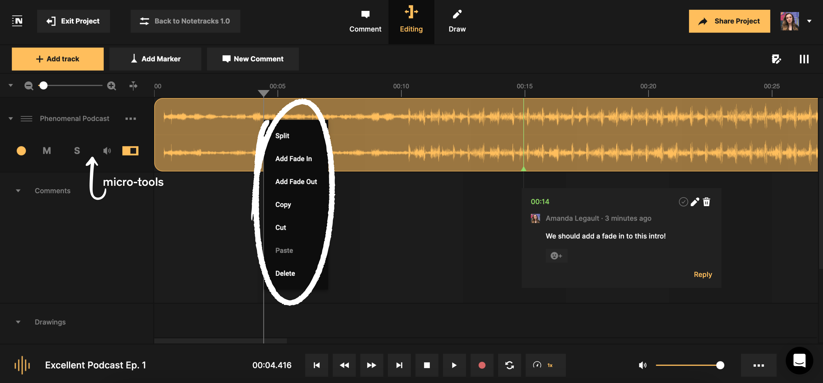 How to Use an Audio Collaboration Tool | Notetracks - Audio Review and Collaboration