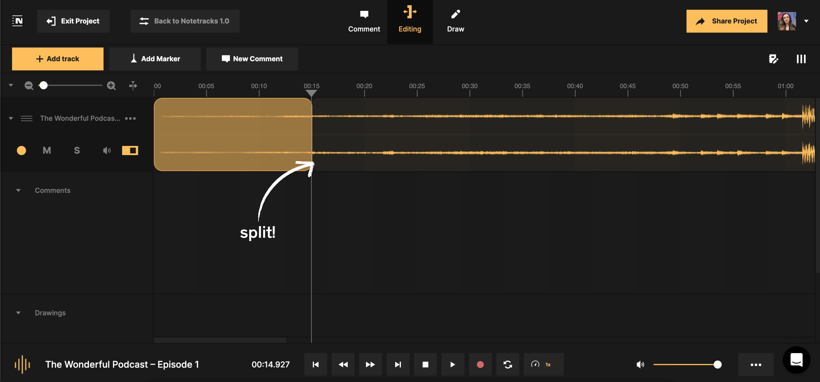 How to Edit a Podcast | Notetracks - Audio Review and Collaboration