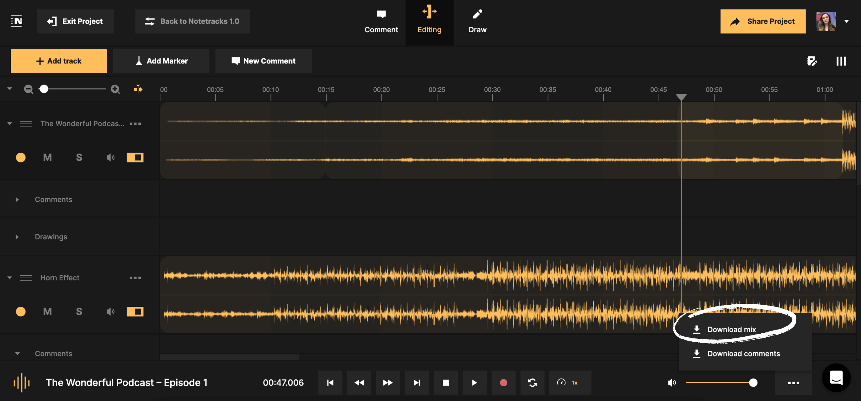 How to Edit a Podcast | Notetracks - Audio Review and Collaboration