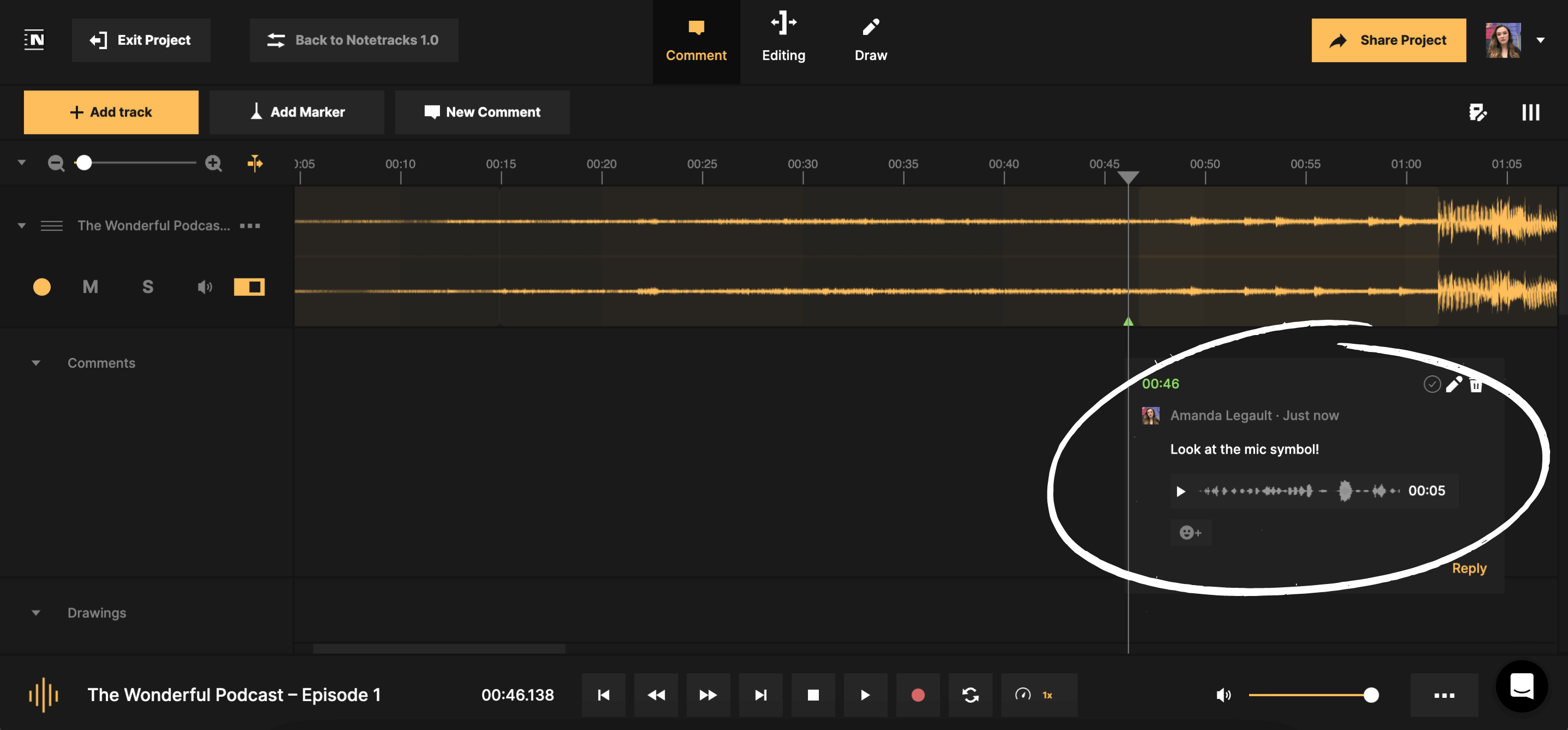 How to Record Voice Comments | Notetracks - Audio Review and Collaboration