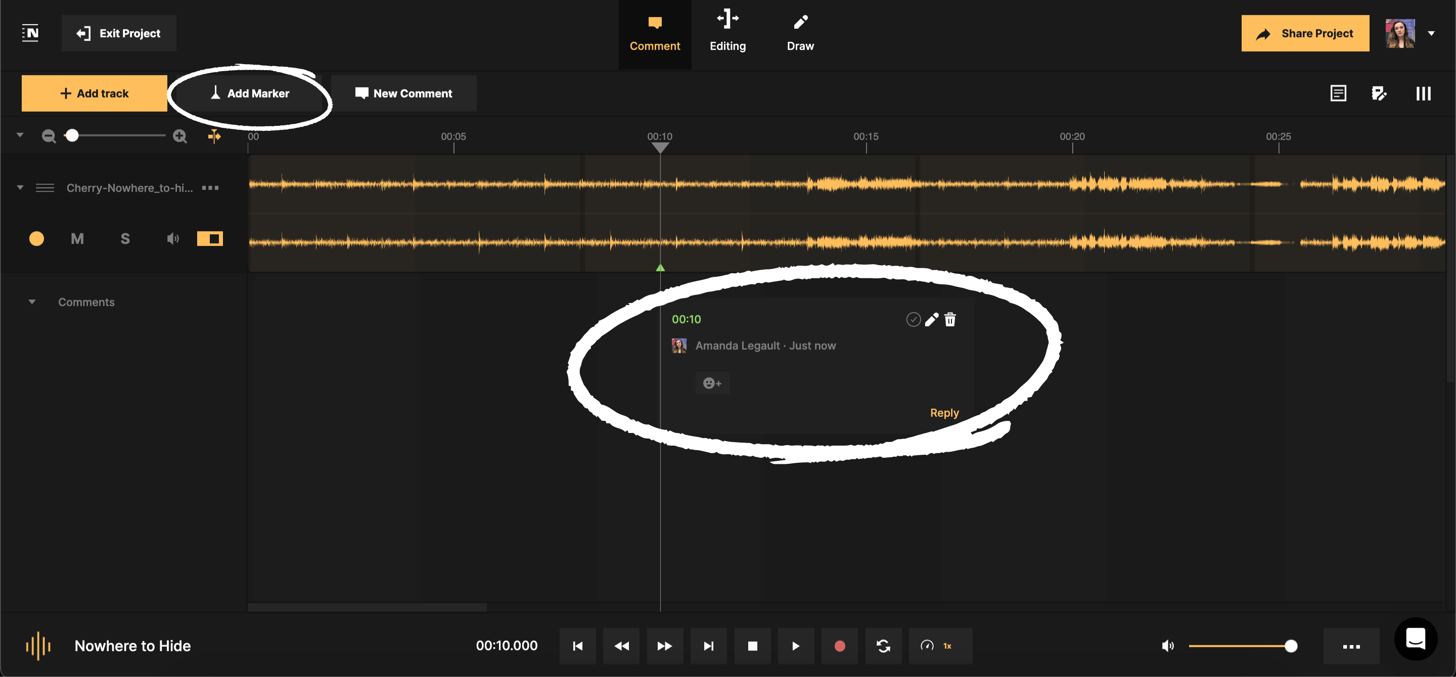 How to Add Markers into an Audio File | Notetracks - Audio Review and Collaboration
