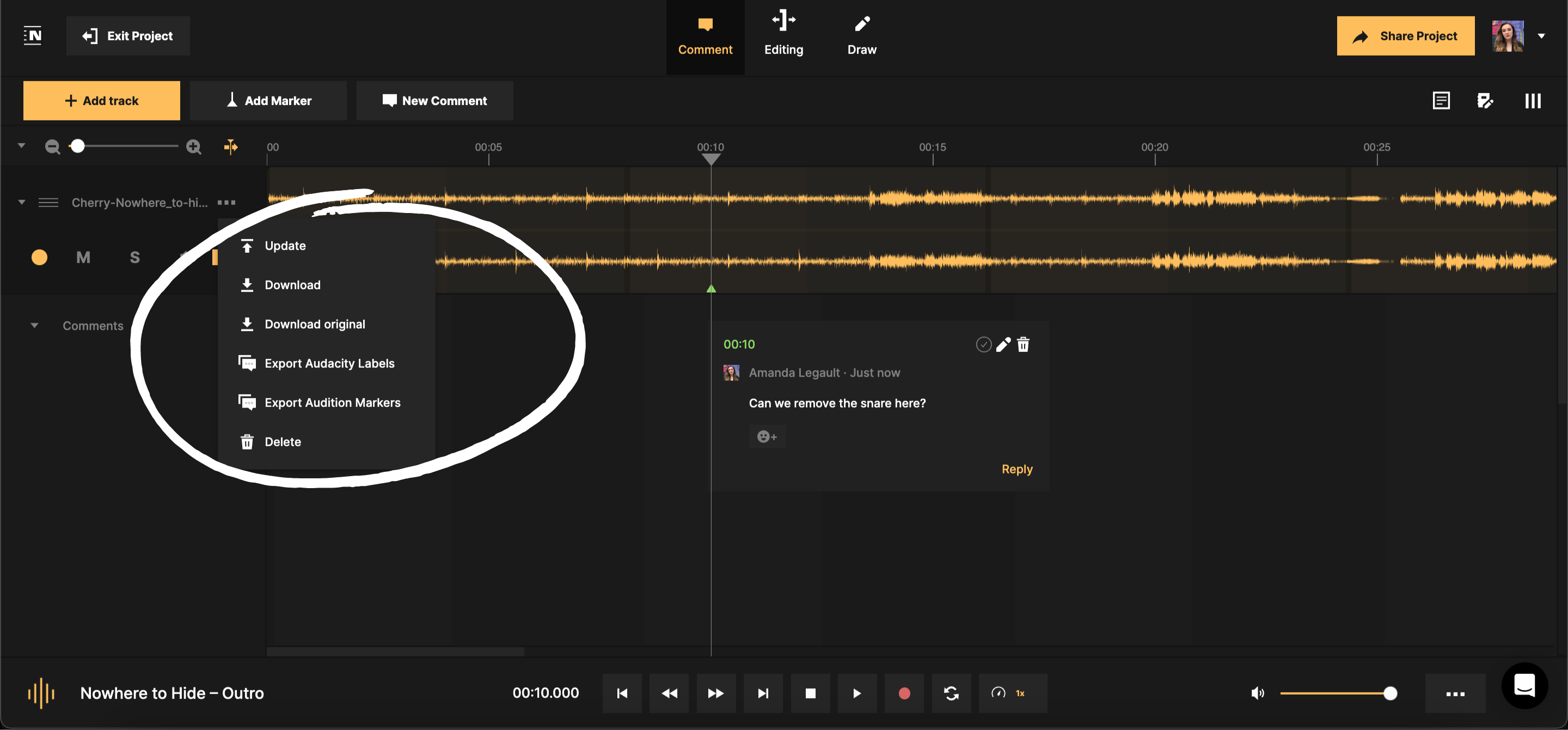 How to Export and Import Comments into Audition | Notetracks - Audio Review and Collaboration