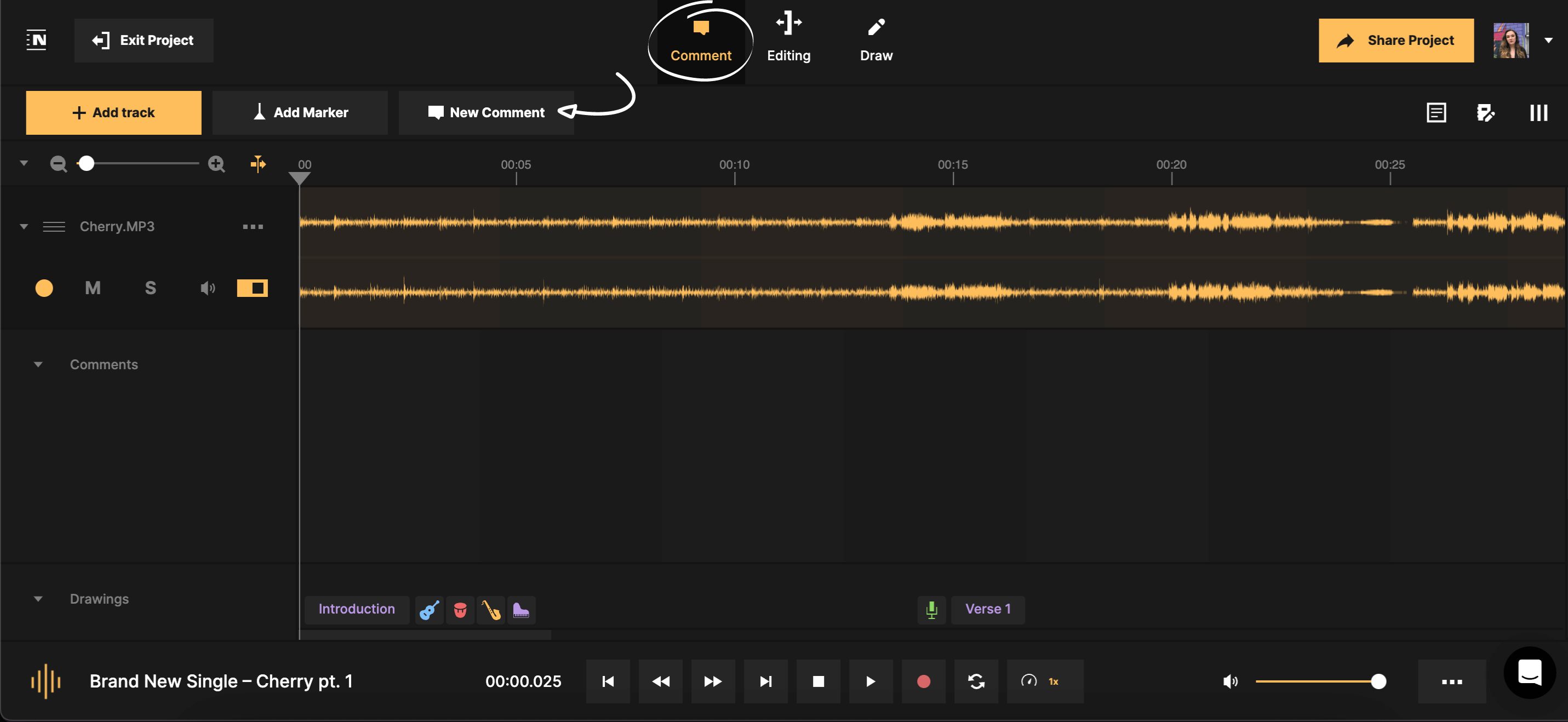 How to Leave Timestamped Comments at Specific Points or Ranges on Audio ...