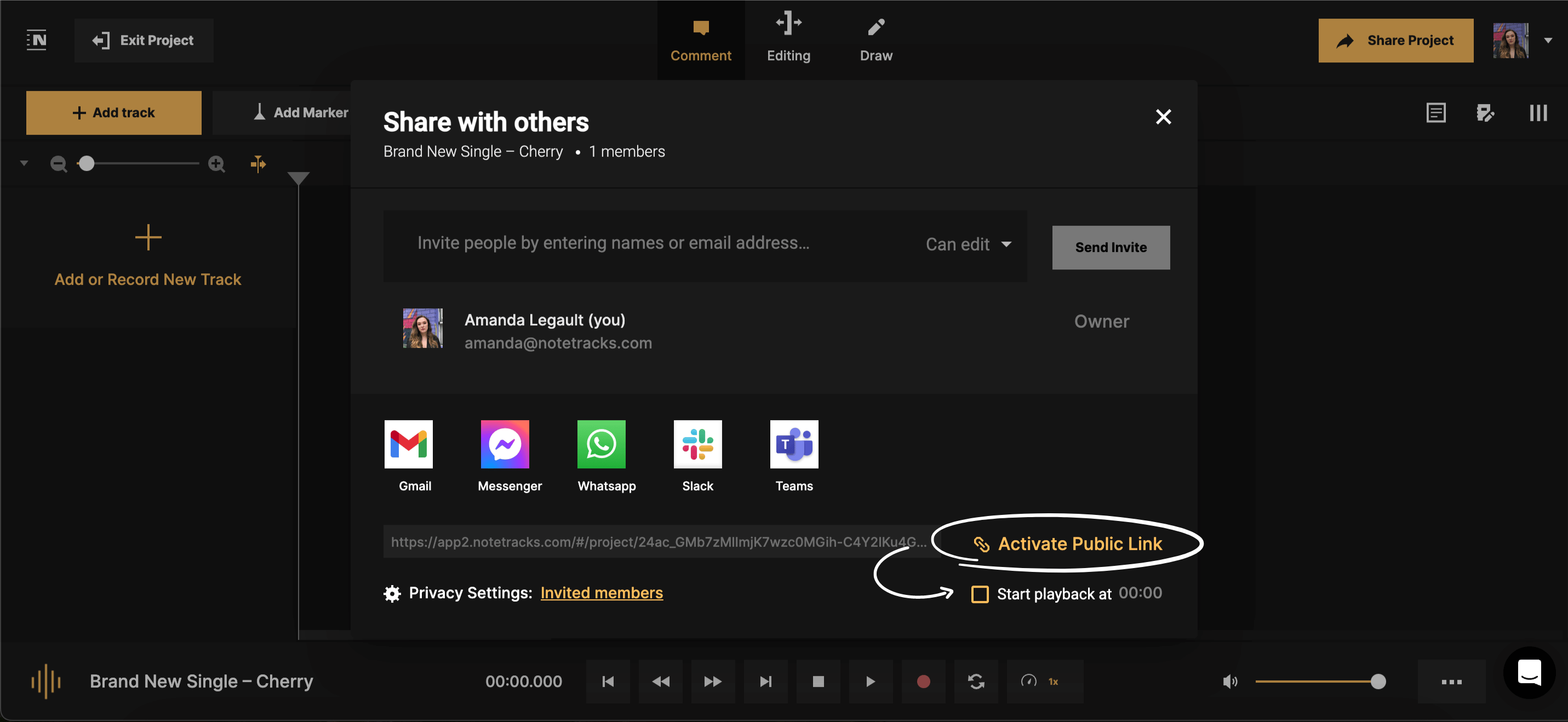 The Best Way to Collaborate on Audio Using an Audio Collaboration Tool | Notetracks - Audio ...