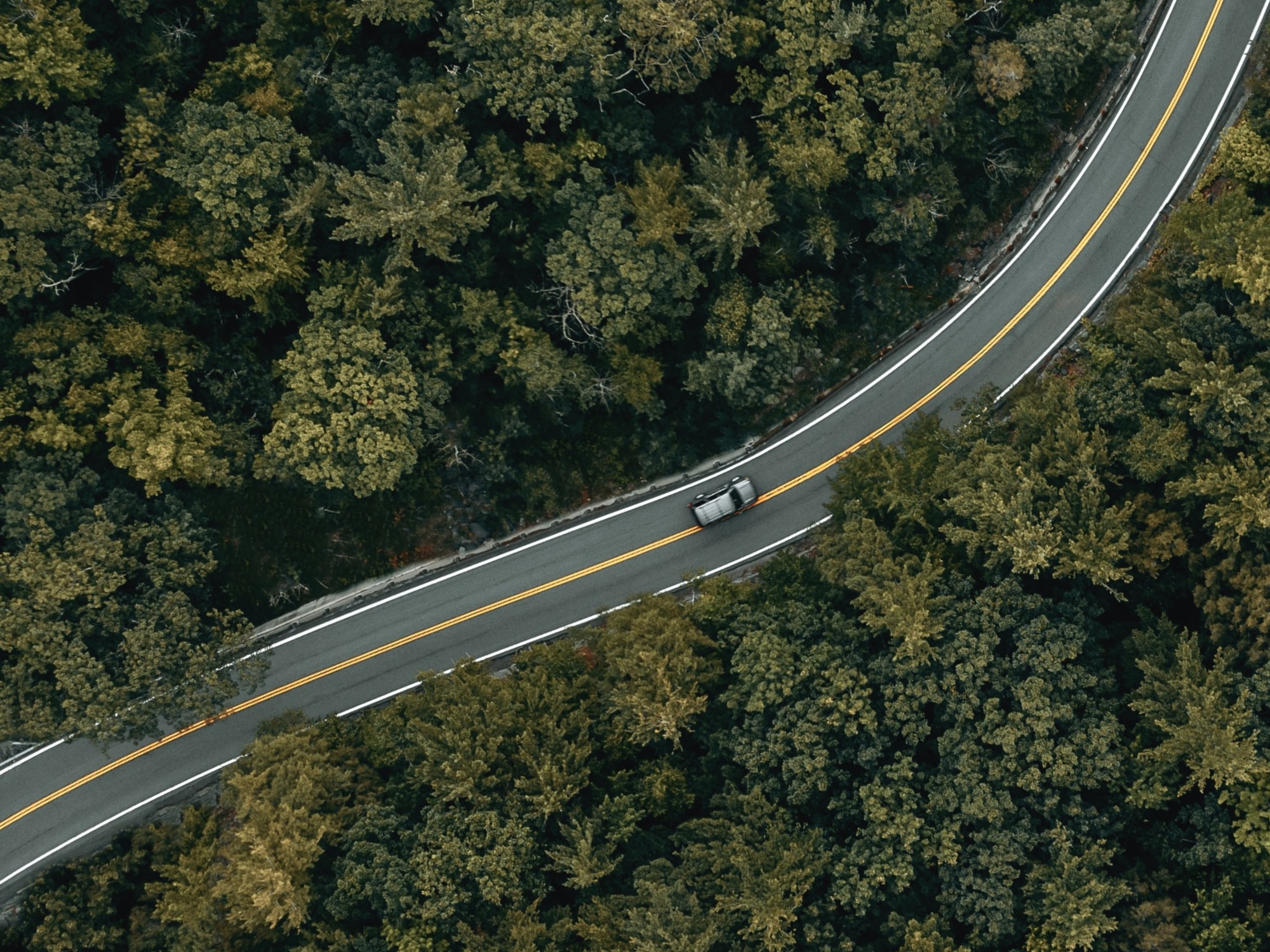 JCB - Government Bonds: A Natural Choice