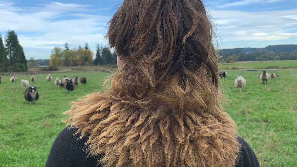 Withywindle Valley Farm