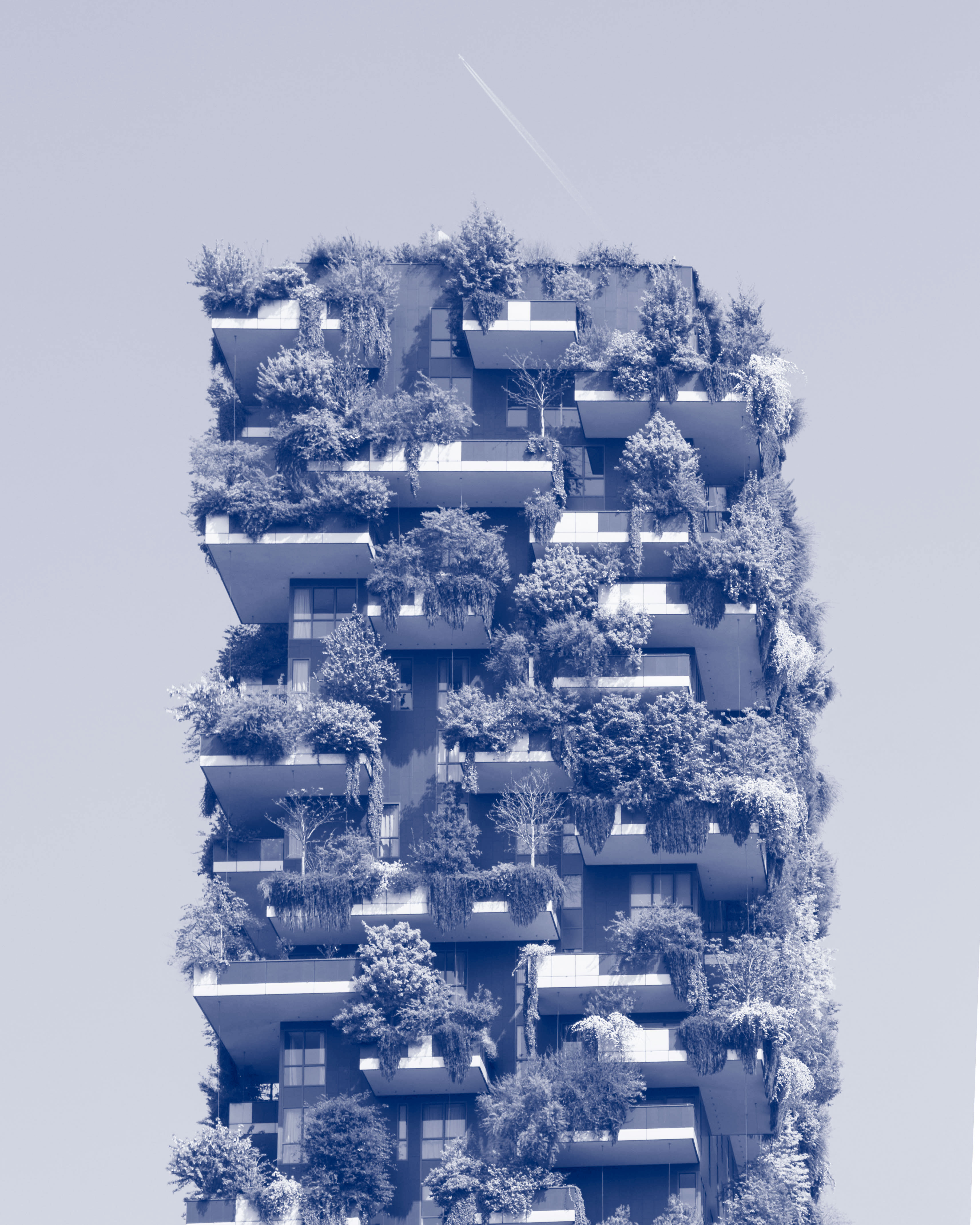 Lösungsangebot: Plan Build Run