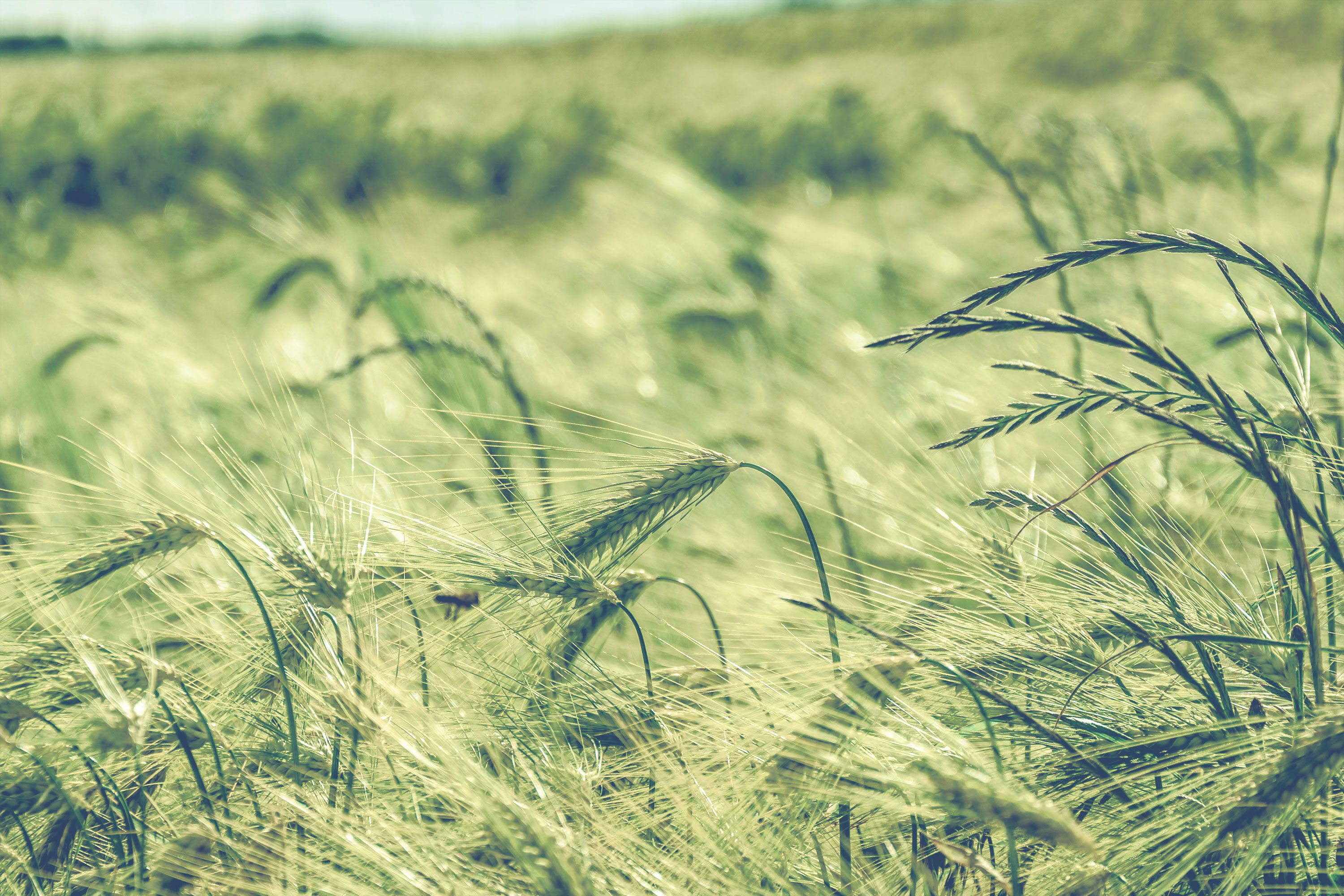 Une stratégie touristique pour la Broye | M&BD Consulting | Actualité M&BD