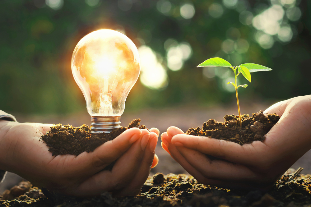 Eco Guardians | Food Waste Solutions - Organic Waste, Grease Traps