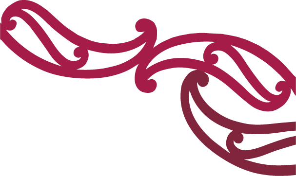 Pūhoro STEMM Academy