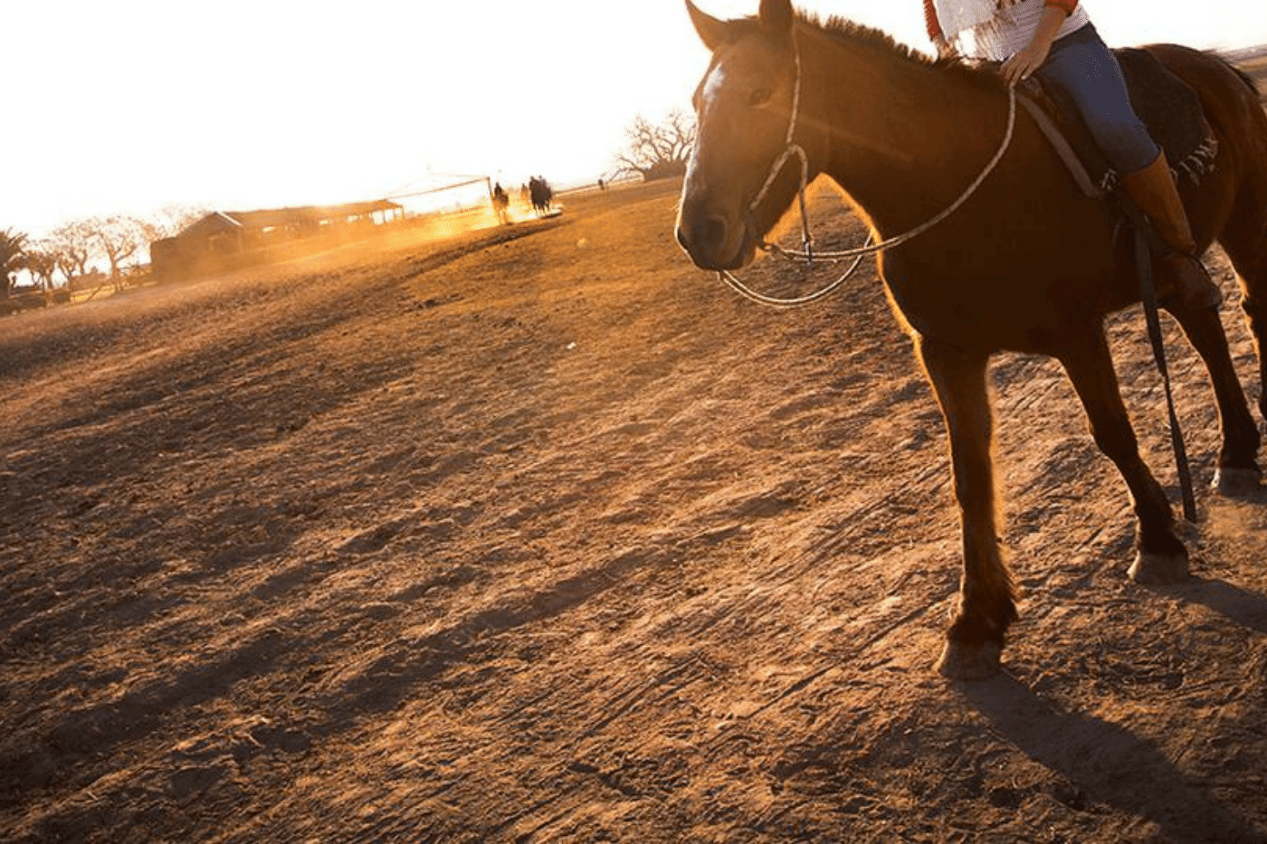 South America Language School Trip - View Itinerary.