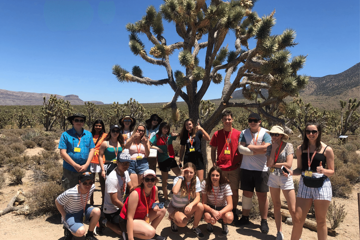 Geography - International School Trips