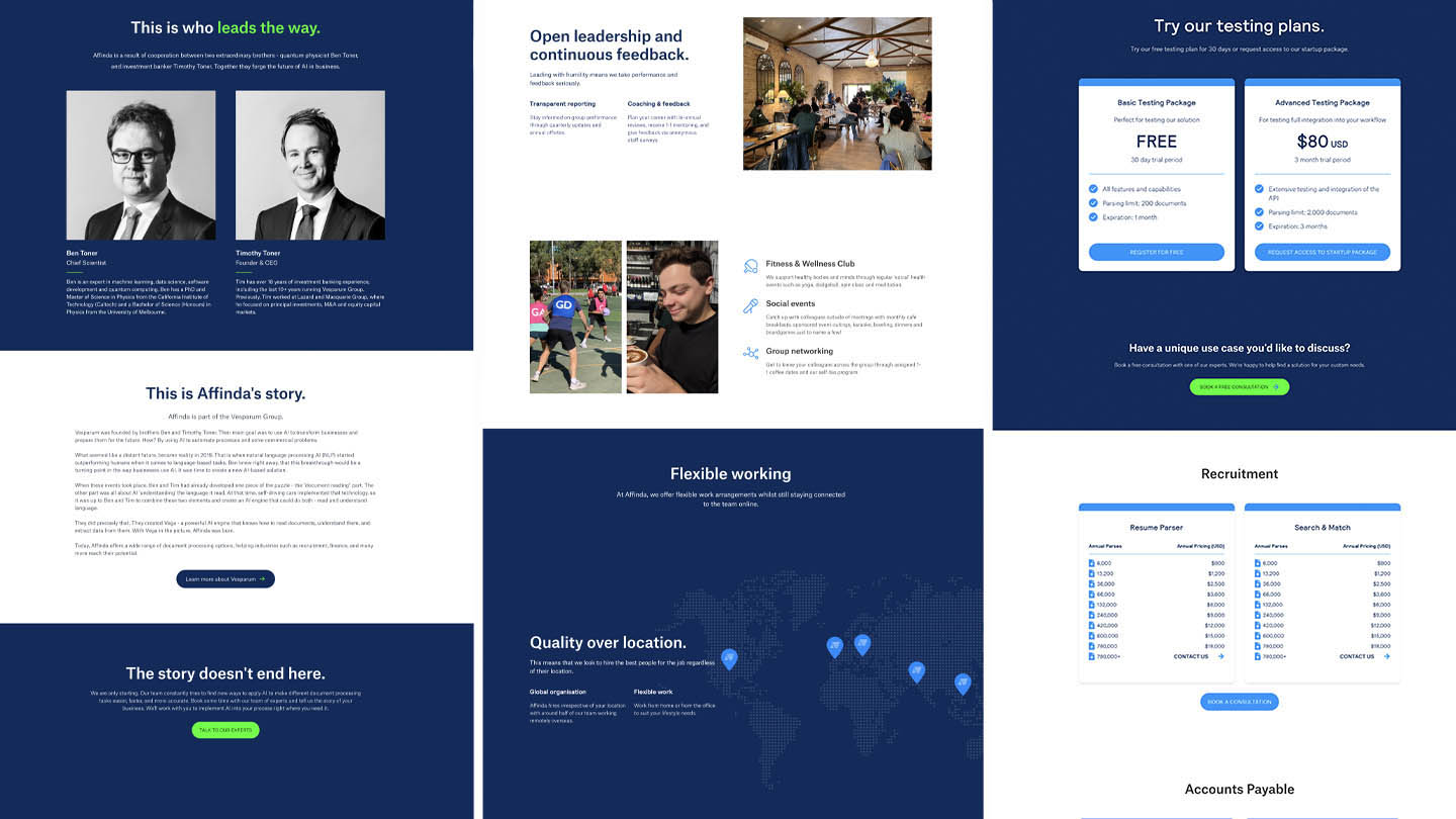 Audivelo projects | Affinda