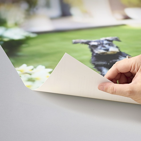 A3 Photo Prints | Online Photo Printing | PostSnap