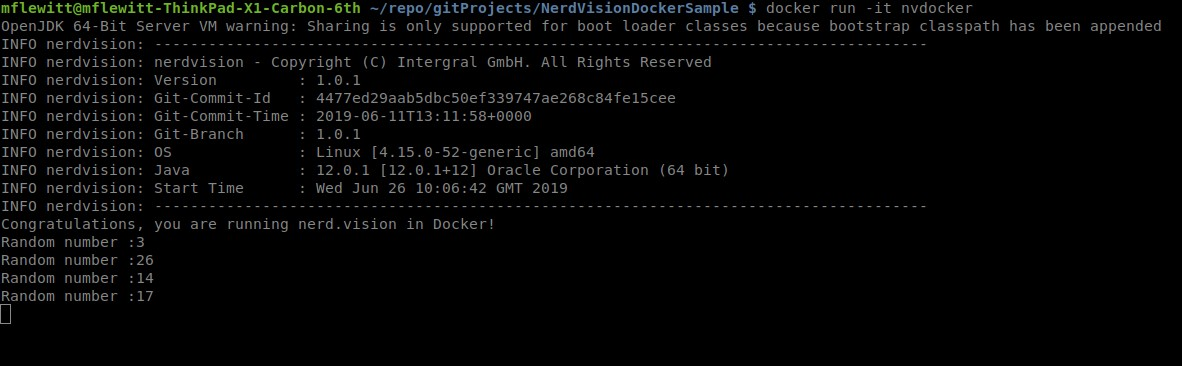 Configuring nerd.vision to automatically run in Docker | nerd.vision