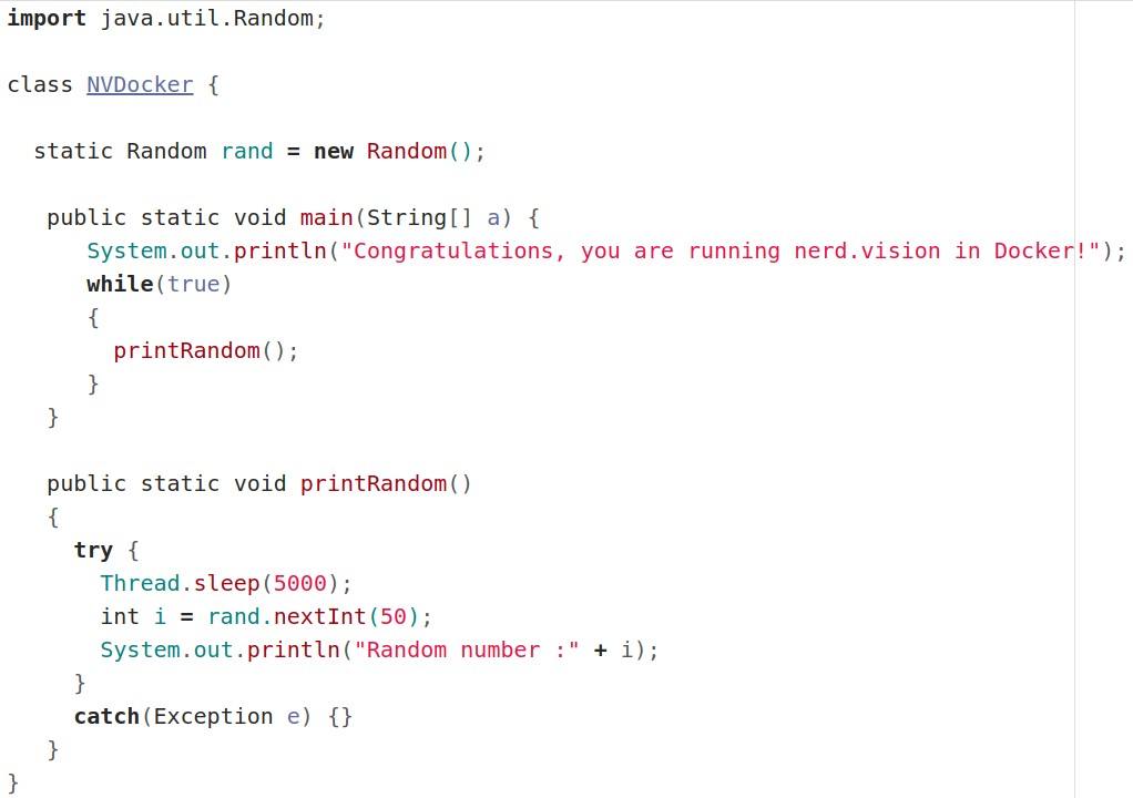 Configuring nerd.vision to automatically run in Docker | nerd.vision