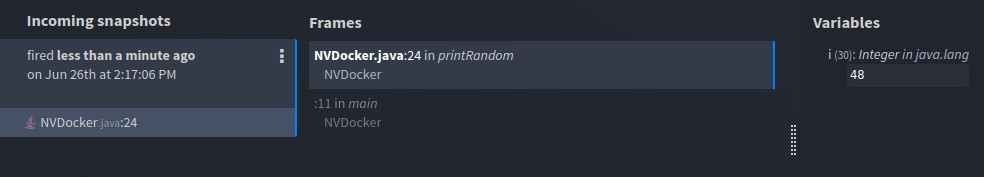 Configuring nerd.vision to automatically run in Docker | nerd.vision
