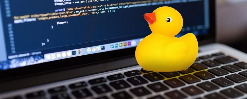 A reliable debugging tool that could replace the rubber duck | nerd.vision