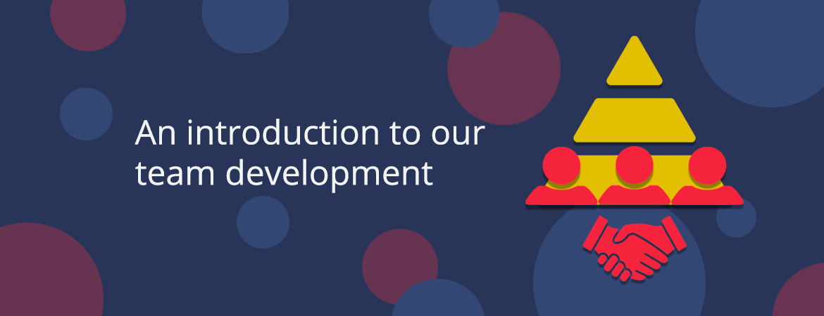 An Introduction to our team development | nerd.vision