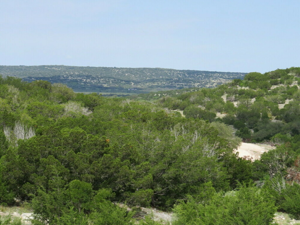 Texas Hill Country Hunting & Ranch Land, Coconut Ranch-Rocksprings