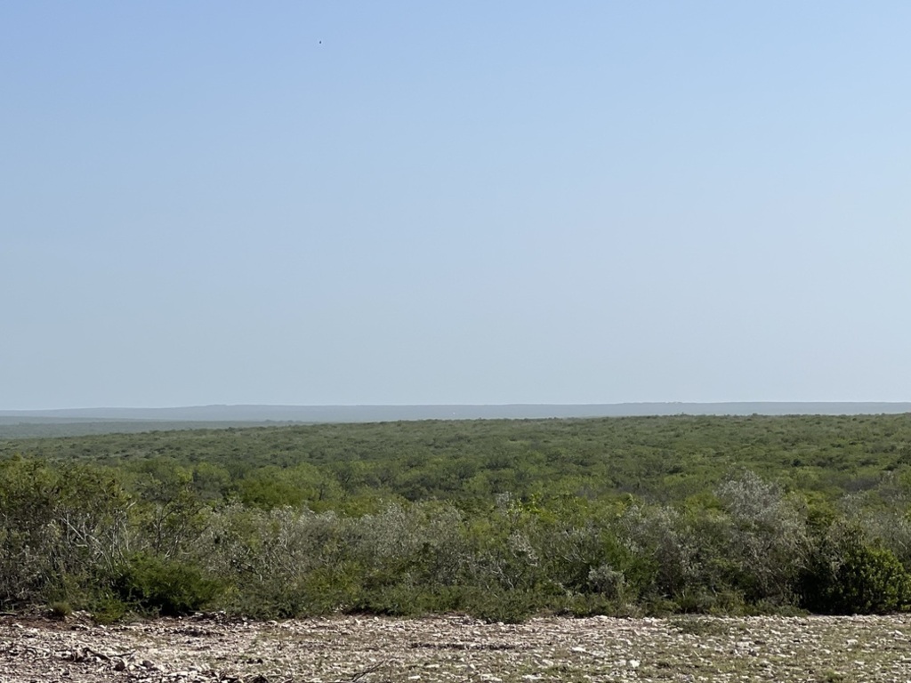 South Texas Hunting & Ranch Land, 44 Ranch North-San Diego
