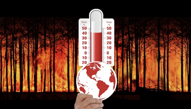 Fundación Savia | Noticias | SAVIA RURAL: MANTENER EL RUMBO