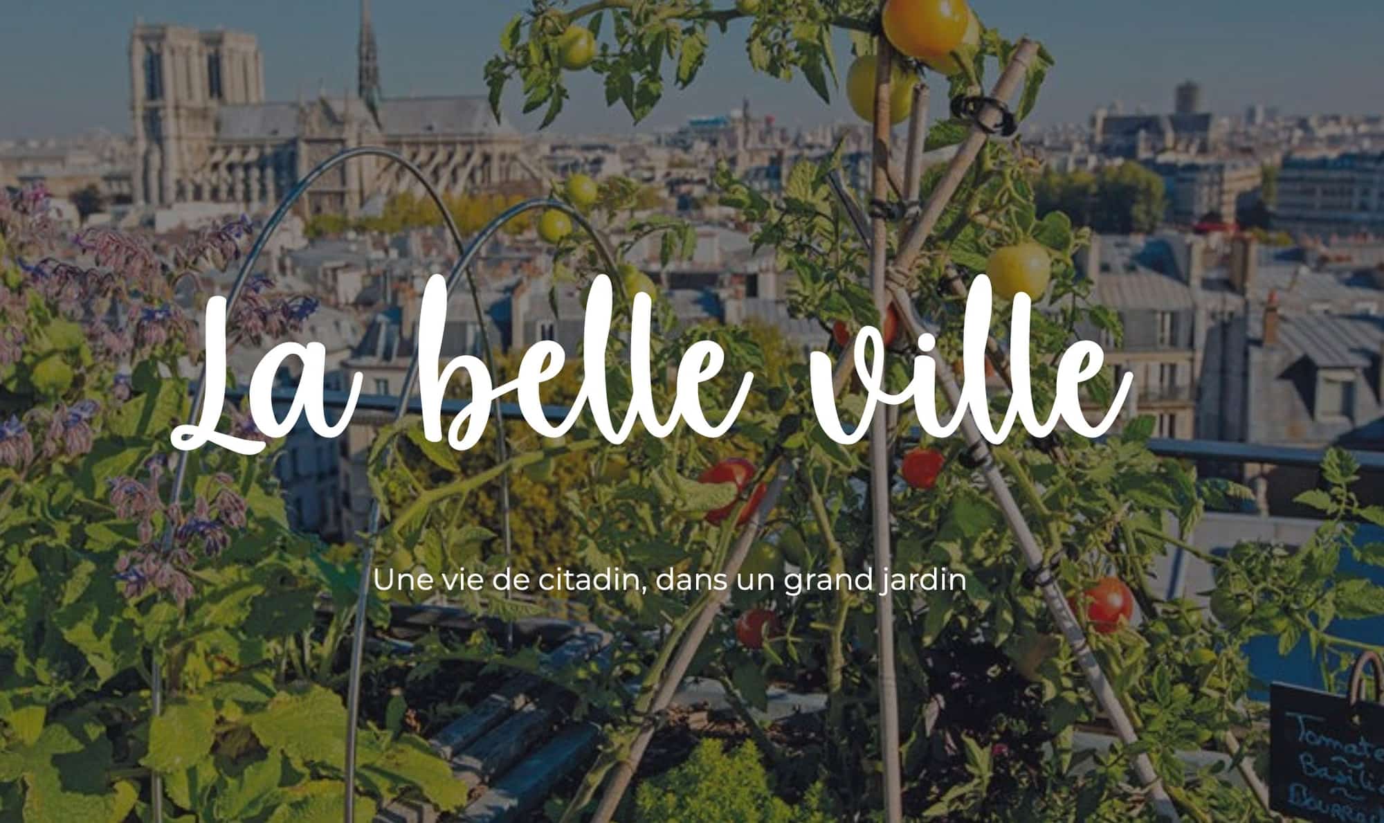 Meine Webseite über mich