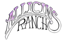 Allicins Ranch - Organic Gourmet Garlic