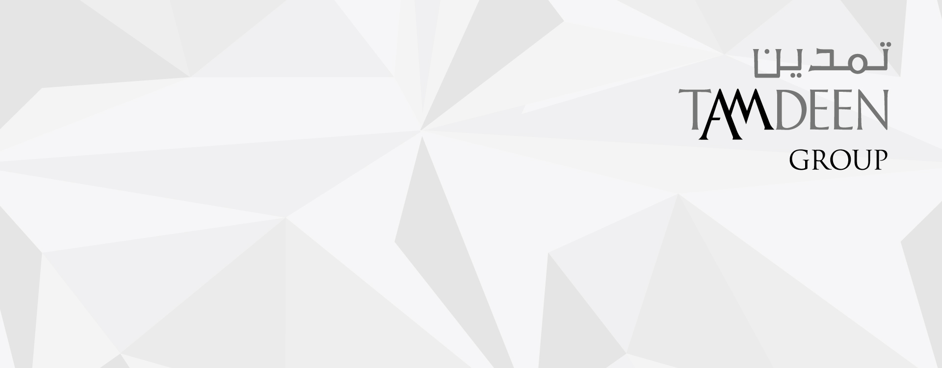 TAMDEEN - DELIVERING THE PROMISE THROUGH A NEW BRAND IDENTITY