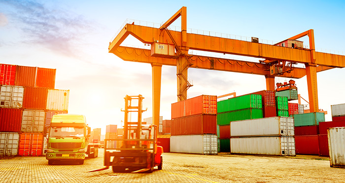 Container Exam Frustrations & Solutions: Insights from PCB