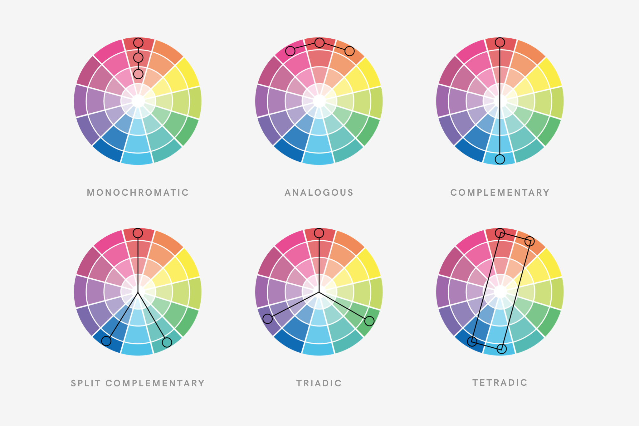 A Brand New Brand: Your Colors