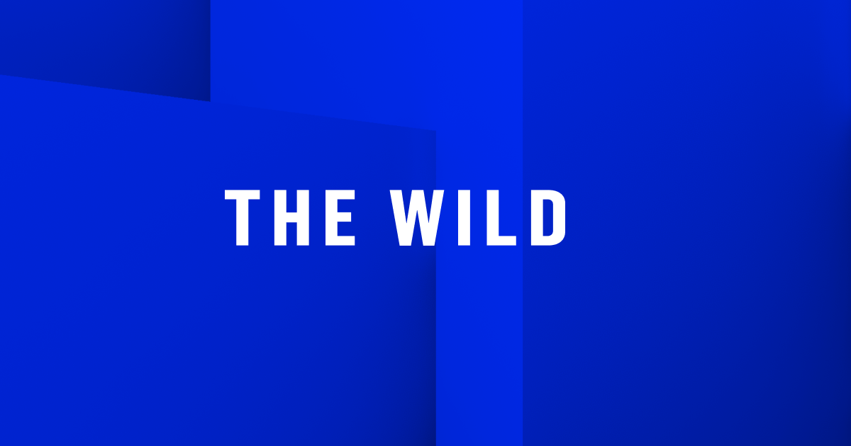 The Wild - VR Collaboration for Architecture & Design Teams