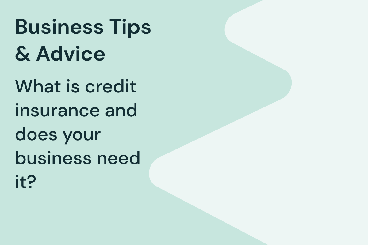 What is credit insurance and does your business need it? | Hokodo
