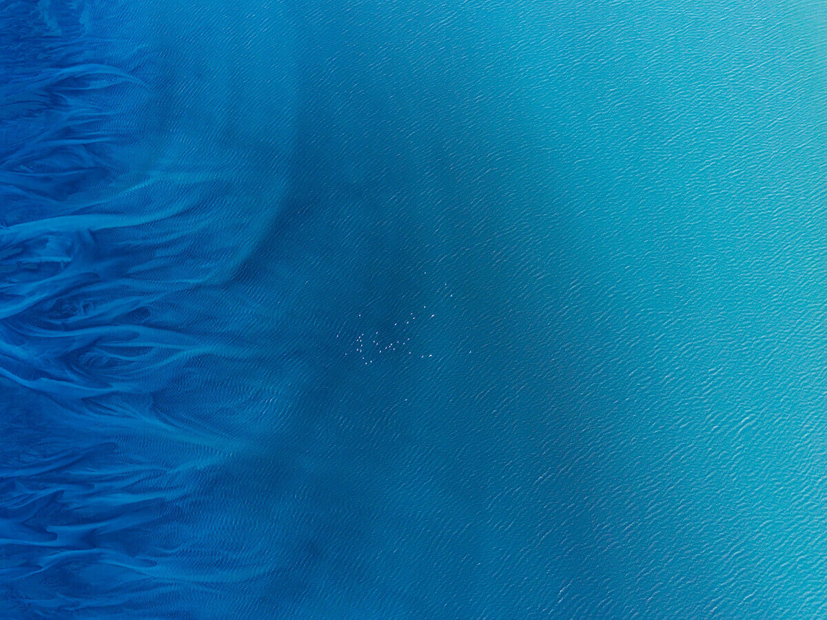 "Blue #1" | Roger Fishman, Artist & Adventurer