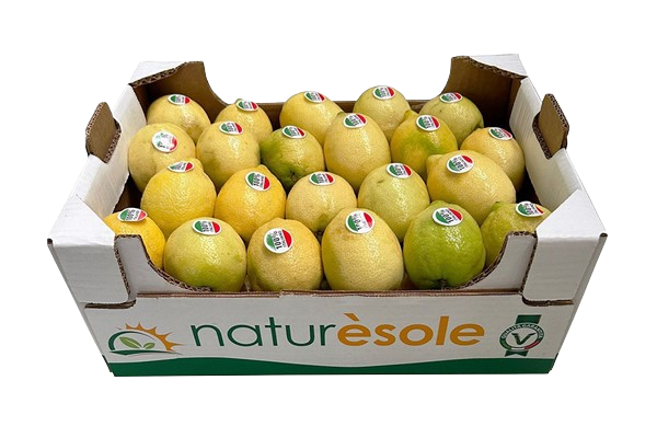 Cajas para Limones | Converpack