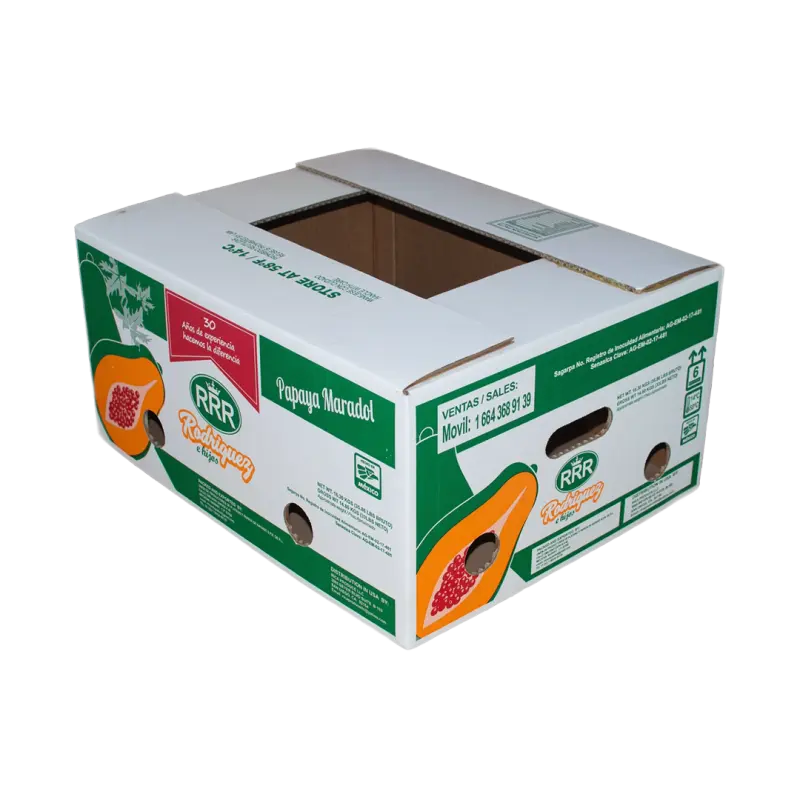 Cajas para Hongos | Converpack