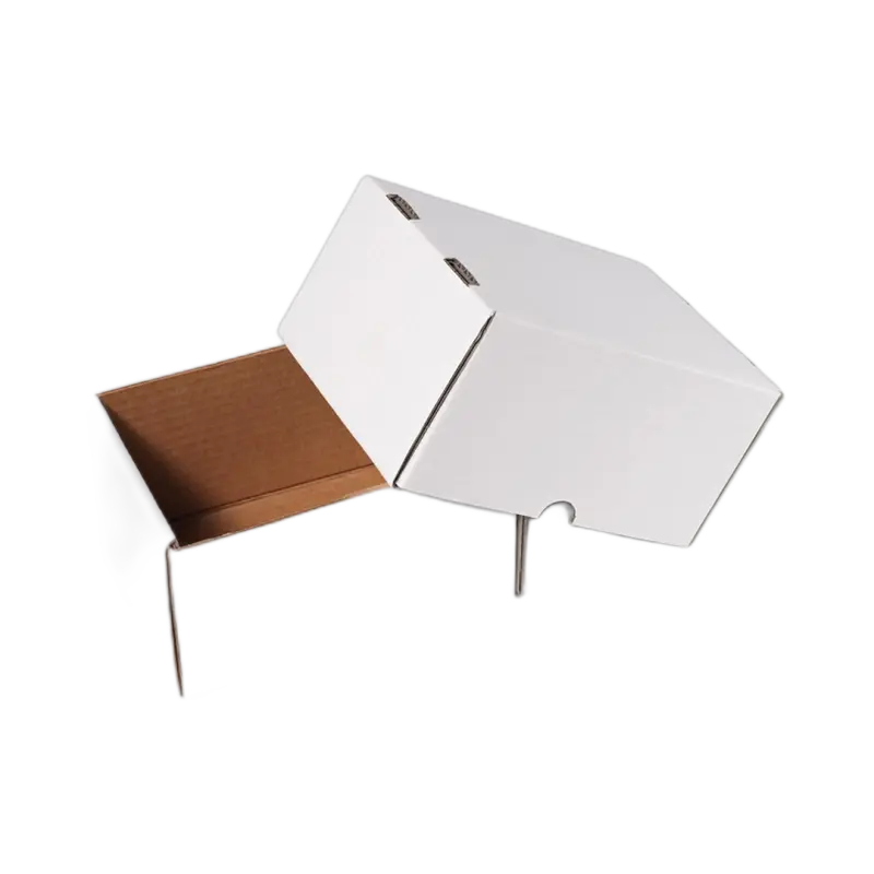 Cajas para Envíos | Converpack